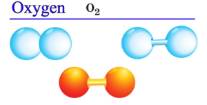 Density of Oxygen - Minnuo